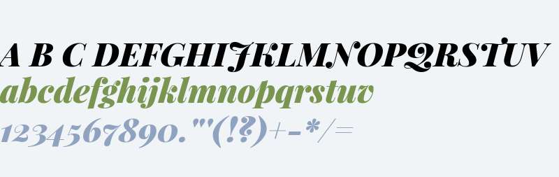 playfair display b Fonts Free Download - OnlineWebFonts.COM