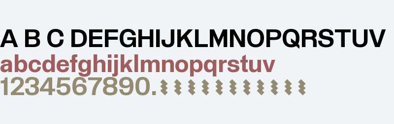 staff test Fonts Free Download - OnlineWebFonts.COM