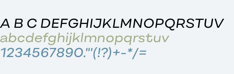 Pitanga Test Fonts Free Download - OnlineWebFonts.COM