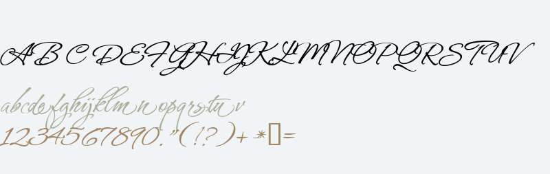 Hurricane Swash Fonts Free Download - OnlineWebFonts.COM