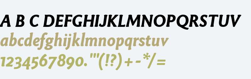 paradigm w01 bold Fonts Free Download - OnlineWebFonts.COM