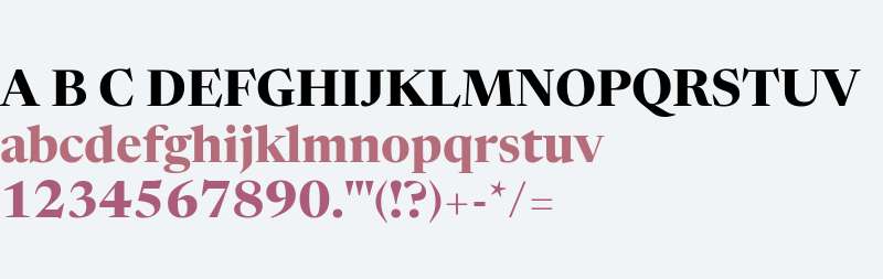 Newsreader Fonts Free Download - OnlineWebFonts.COM