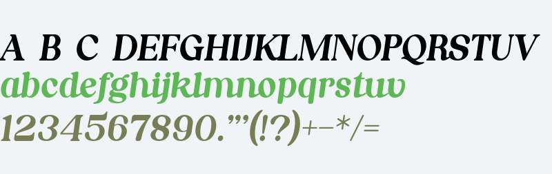 Sparkasse rhein neckard nord Fonts Free Download - OnlineWebFonts.COM