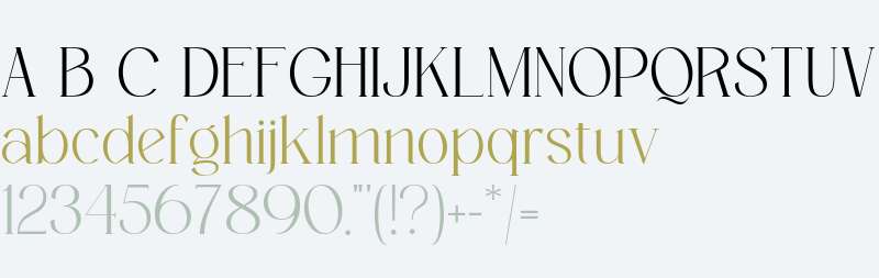 PUIMEK Fonts Free Download - OnlineWebFonts.COM