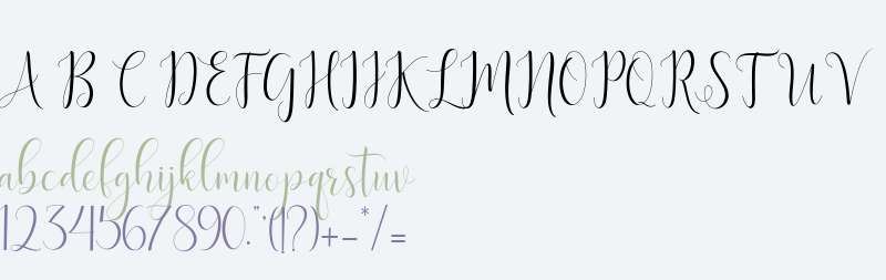 delight script Fonts Free Download - OnlineWebFonts.COM