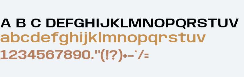 CIDARI Fonts Free Download - OnlineWebFonts.COM