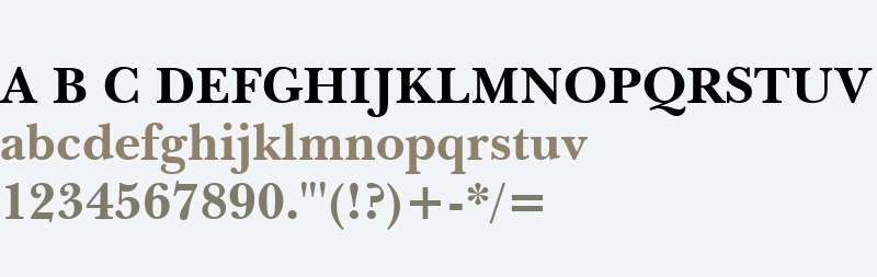 baskerville bt bold Fonts Free Download - OnlineWebFonts.COM