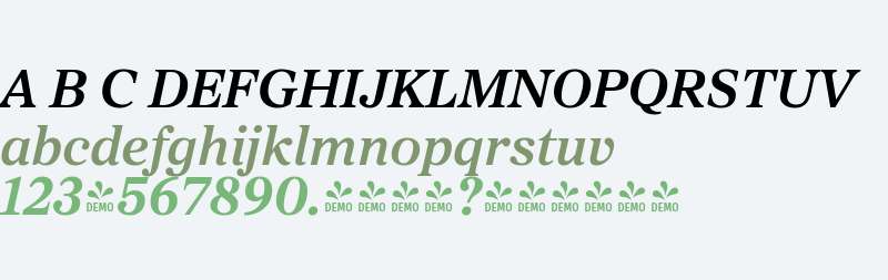 SkylabNewUnicodeFont Fonts Free Download - OnlineWebFonts.COM