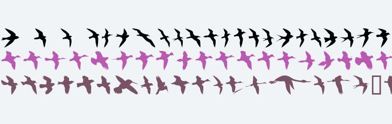 Birds Flying Fonts Free Download - OnlineWebFonts.COM