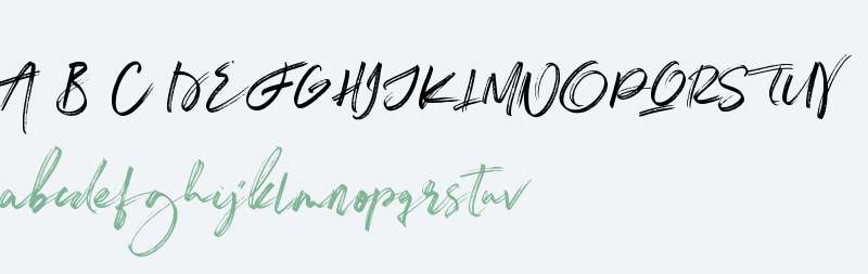 Ashfort Brush Script Fonts Free Download - OnlineWebFonts.COM