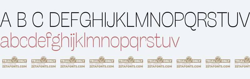 Typokar Fonts Free Download - OnlineWebFonts.COM