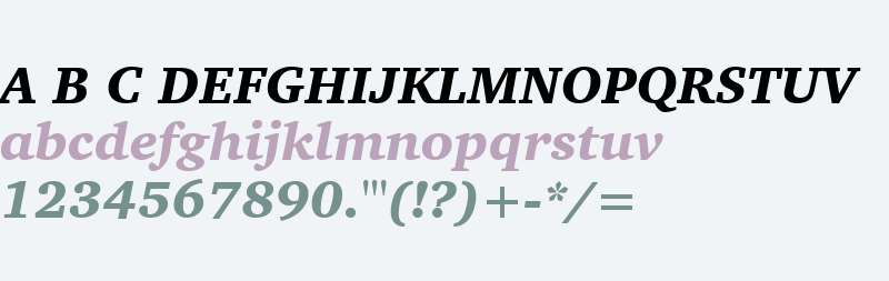 charter bt black Fonts Free Download - OnlineWebFonts.COM