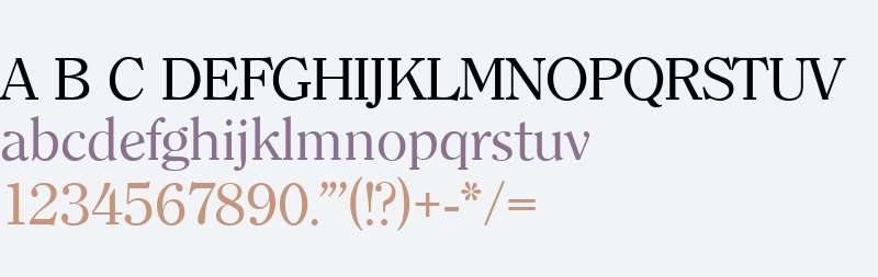 ClearfaceSerial Fonts Free Download - OnlineWebFonts.COM
