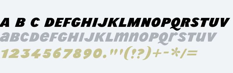 Wien Pro Unic Superobl W00 Fonts Free Download - OnlineWebFonts.COM