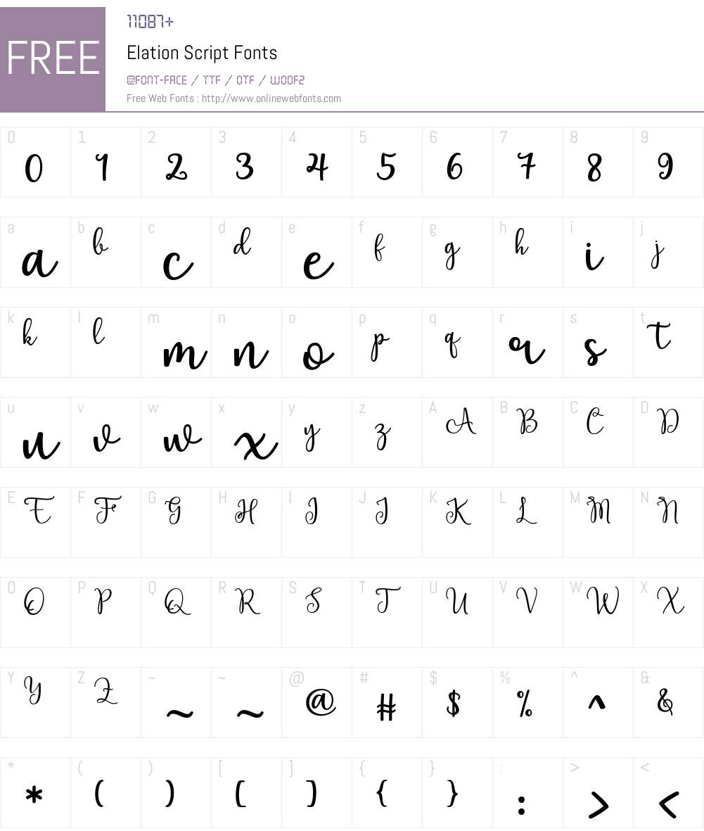 Elation Script 1.000 Fonts Free Download - OnlineWebFonts.COM
