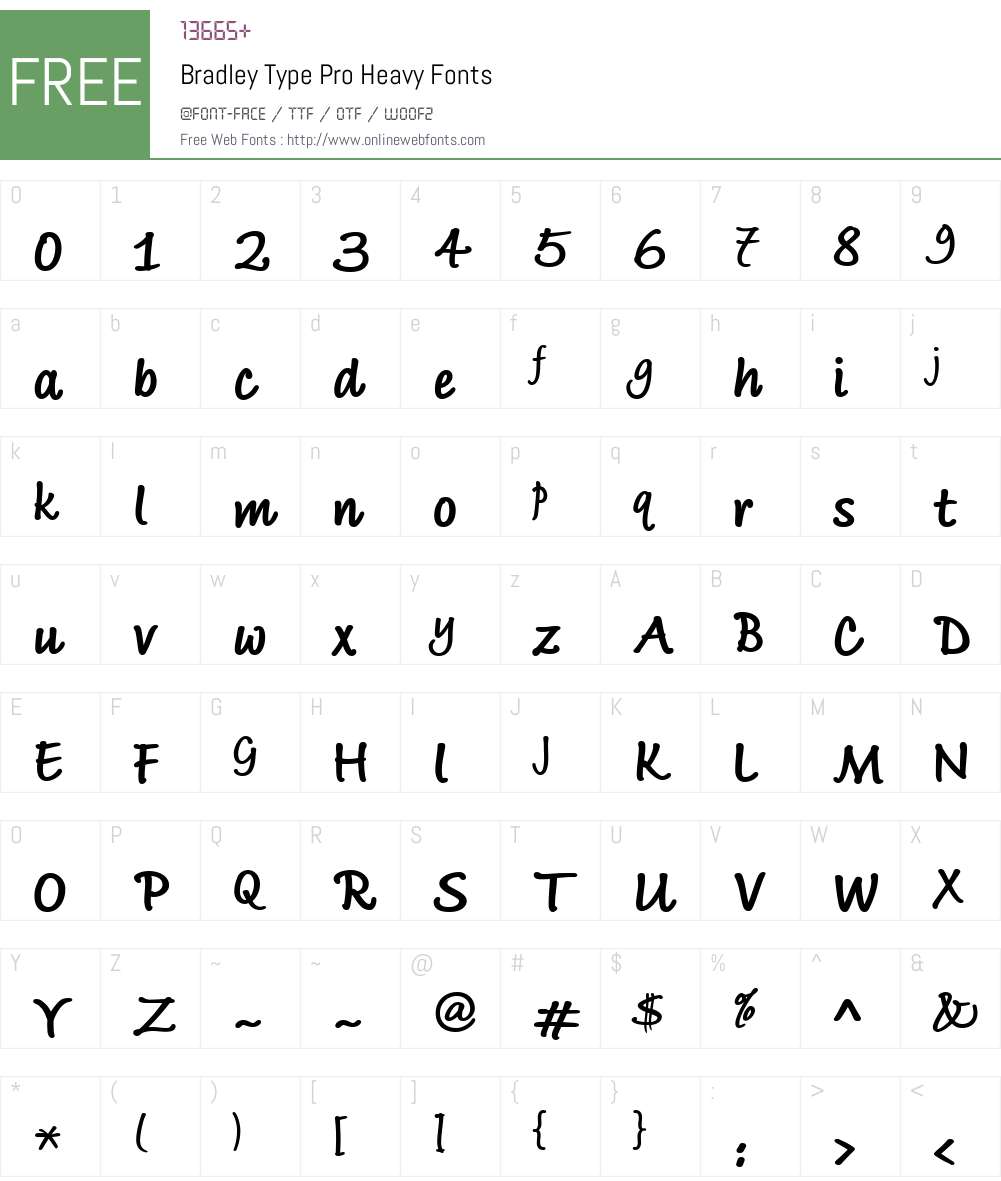 Bradley Type Pro Heavy 1.00 Fonts Free Download - OnlineWebFonts.COM