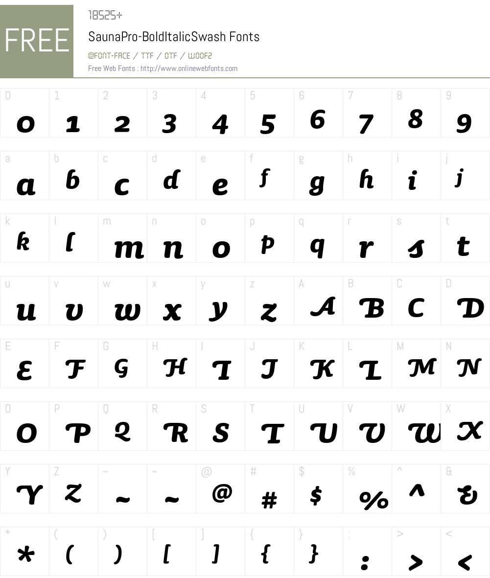 Sauna Pro Bold Italic Swash 2.500 Fonts Free Download - OnlineWebFonts.COM