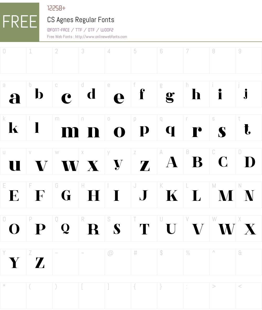 CS Agnes 1.000 Fonts Free Download - OnlineWebFonts.COM